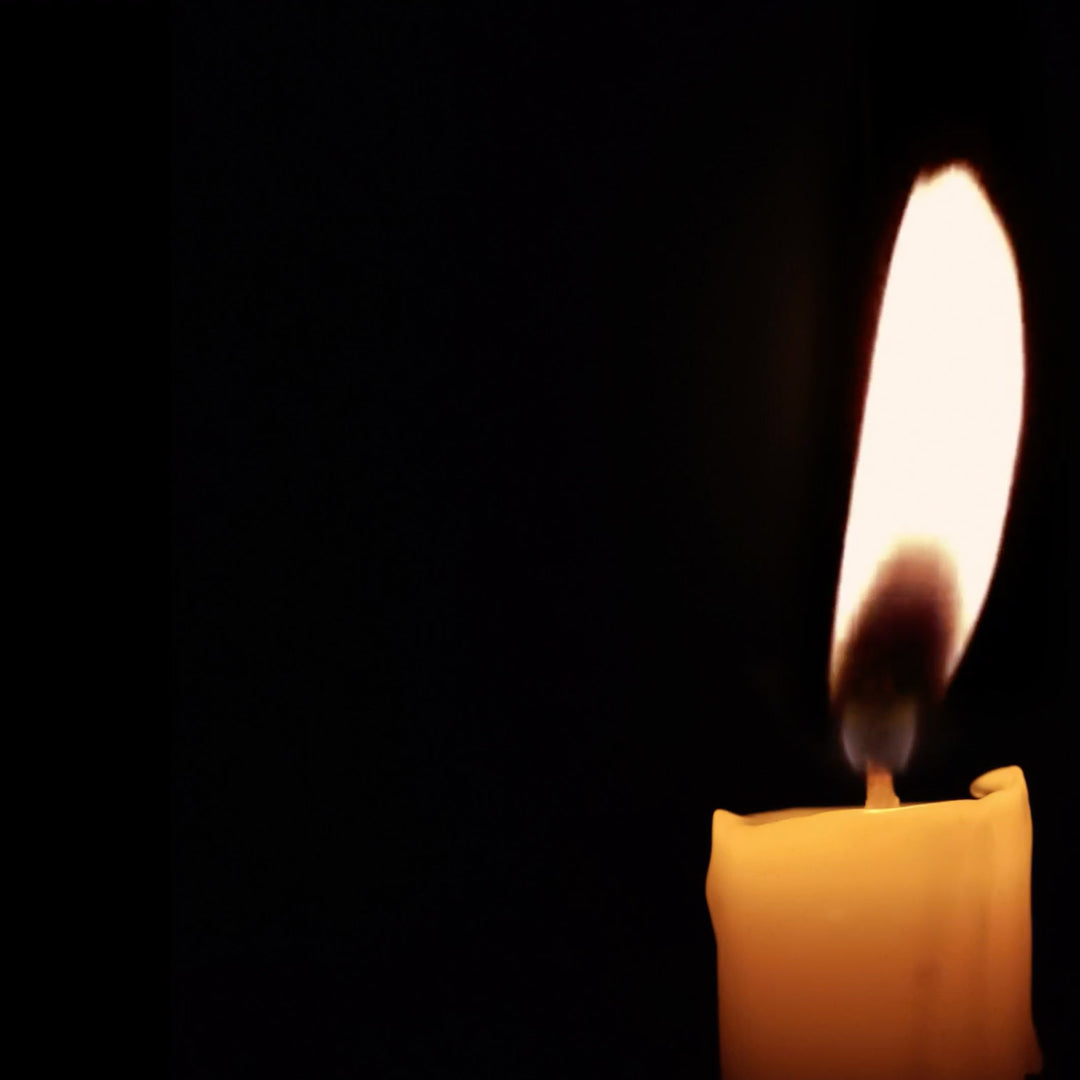 Hand Dipped Taper Candles, Beeswax Candles - Mole Hollow Candles